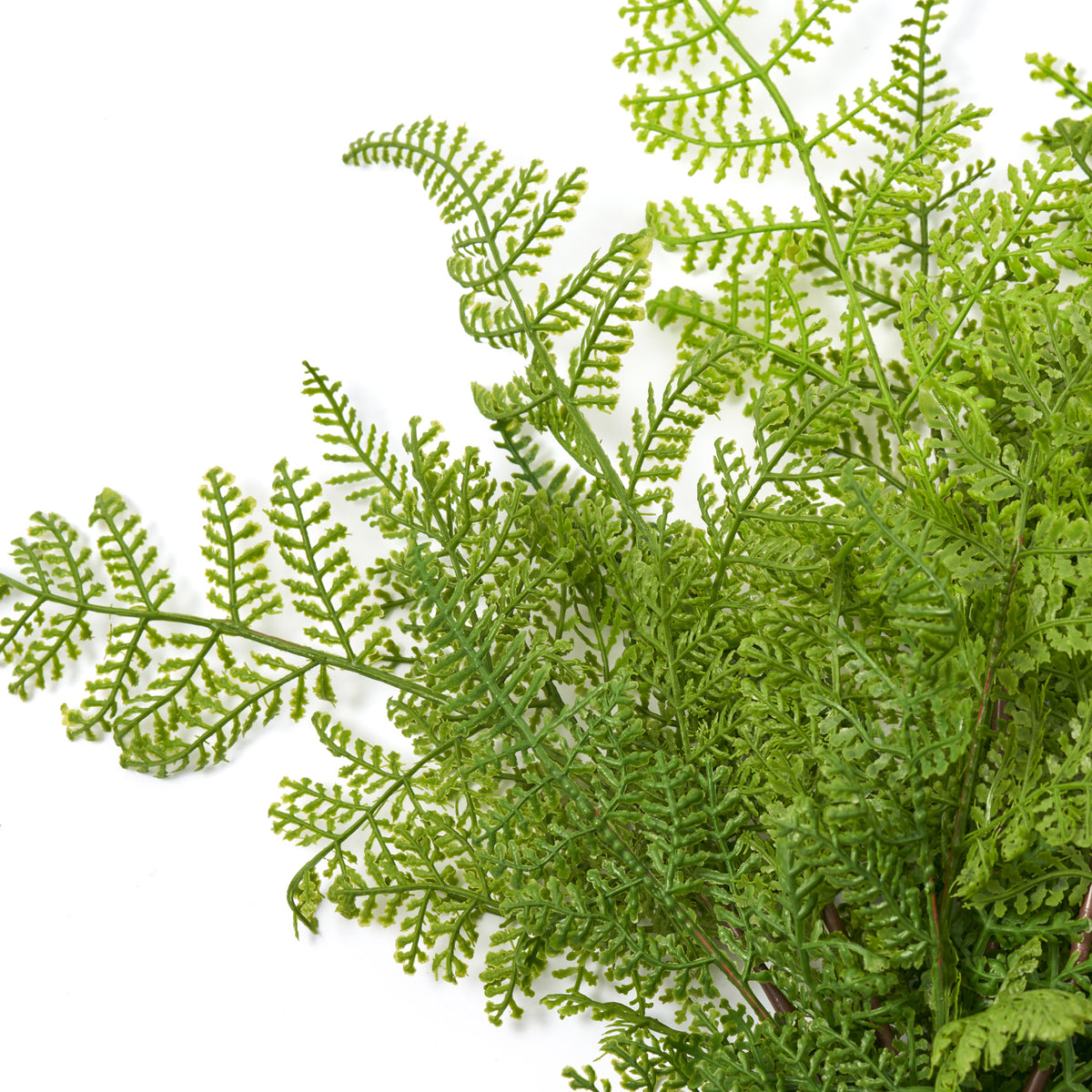 All Season Faux Lace Fern Bush Stem - 15" – Darby Creek Trading