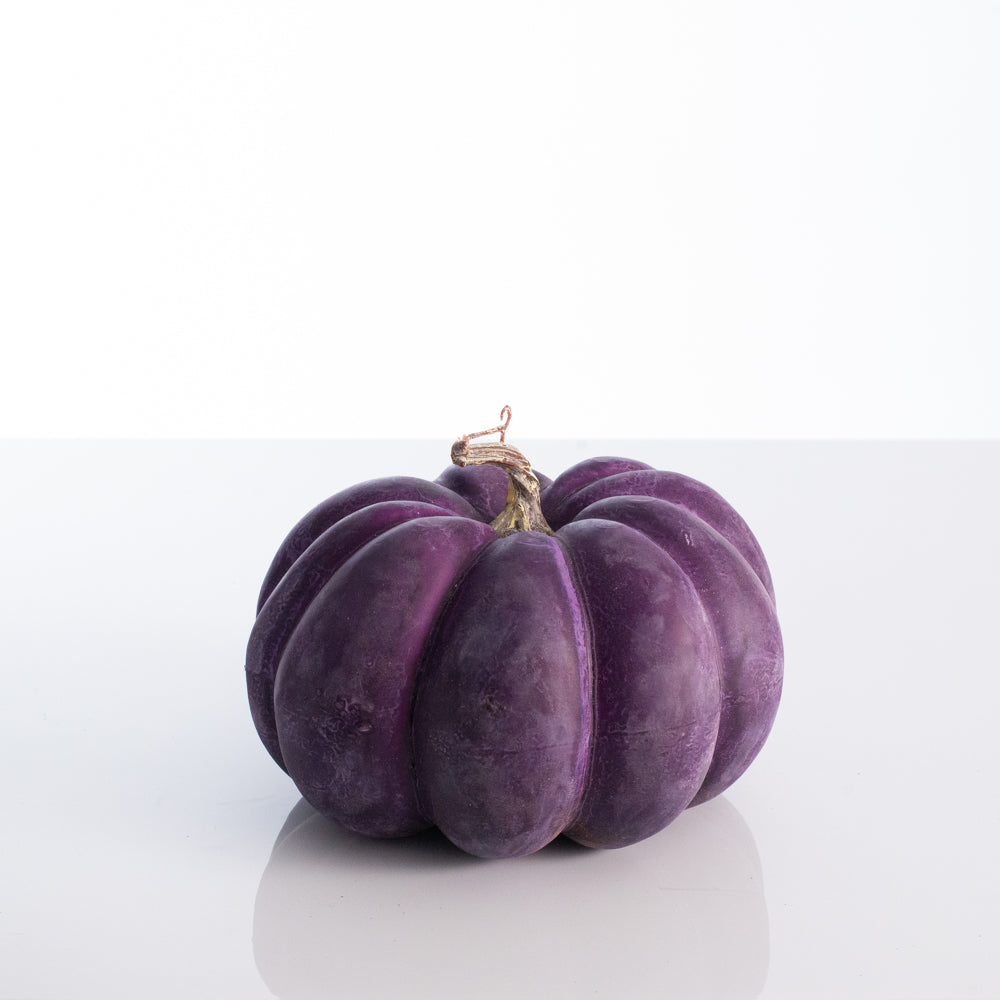 Purple Weathered Thanksgiving Harvest Halloween Colorful Pumpkin Set ...