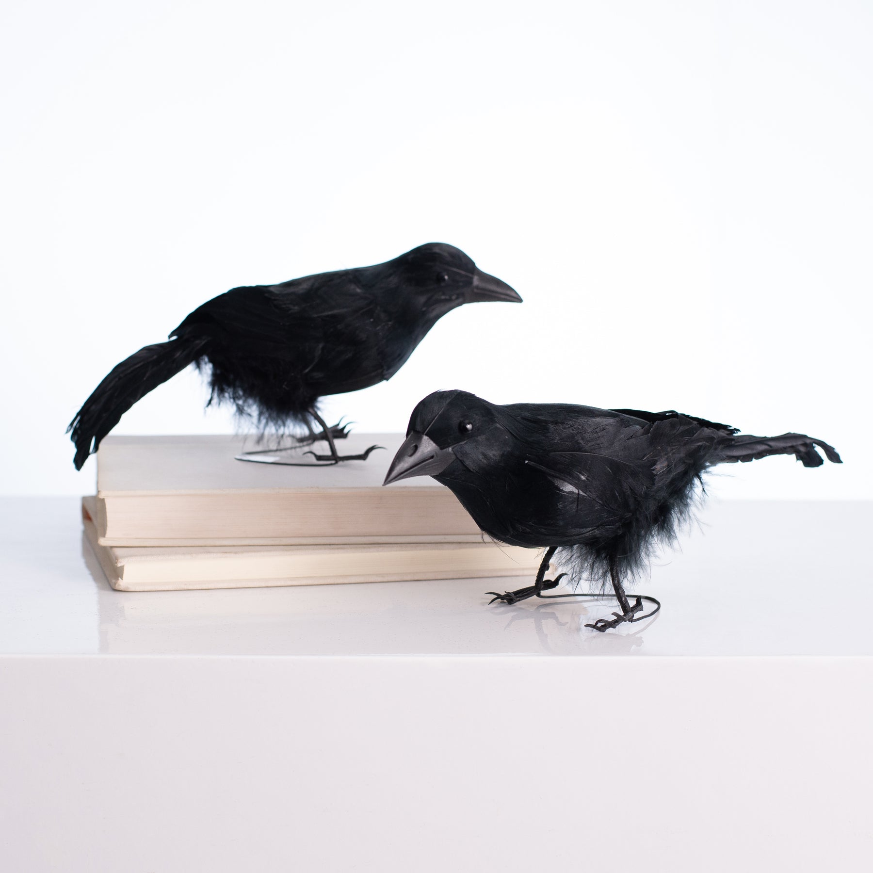 Black Feathered Crow Standing Raven Halloween Decoration Prop Set of 2 ...