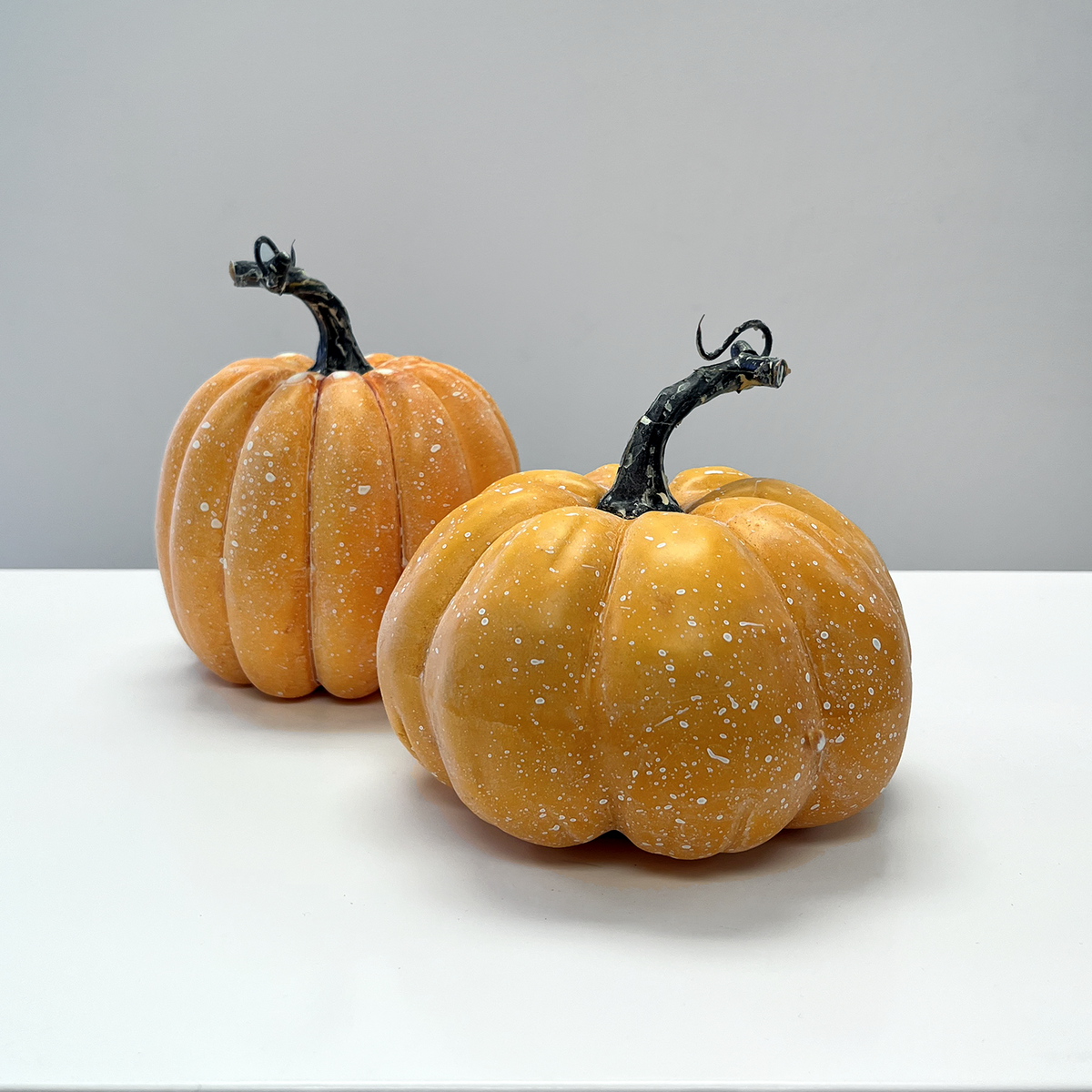 Orange Weathered Thanksgiving Autumn Harvest Halloween Fall Pumpkin Se ...
