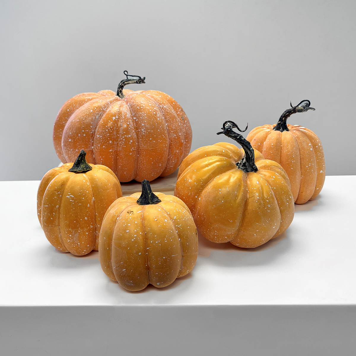 Orange Weathered Thanksgiving Autumn Harvest Halloween Fall Pumpkin Se ...