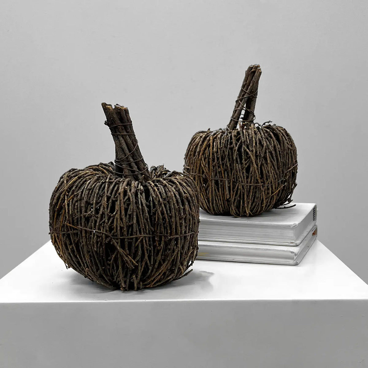 Natural Grapevine Twig Pumpkin Halloween Tabletop Mantle Fall Home Déc ...