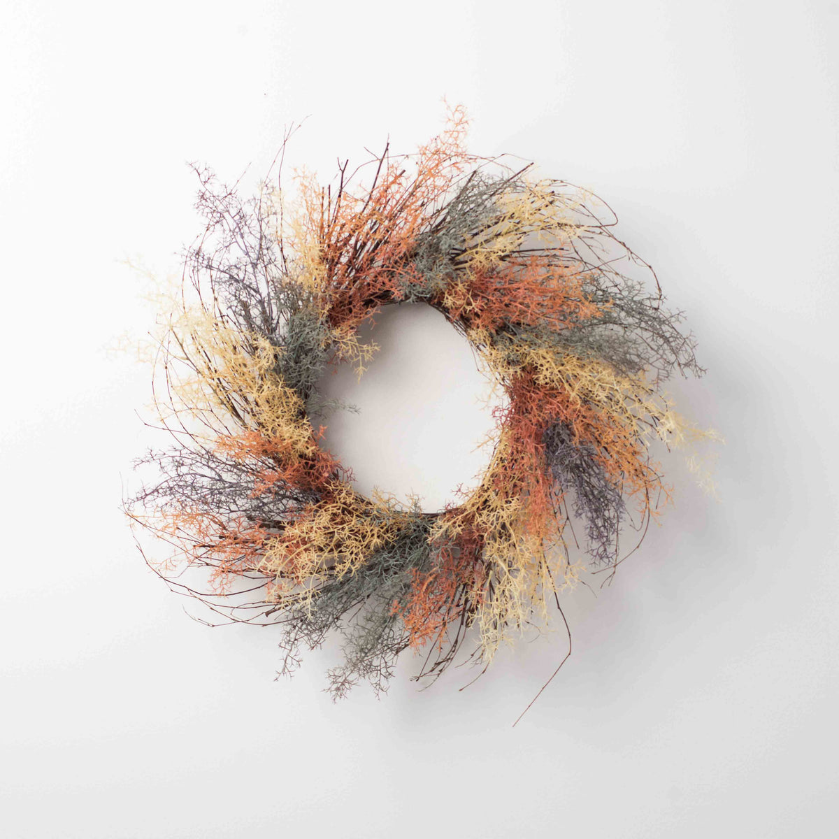 Dreamy Coral Fern On A Wispy Birch Twig Everyday Front Door Wreath ...