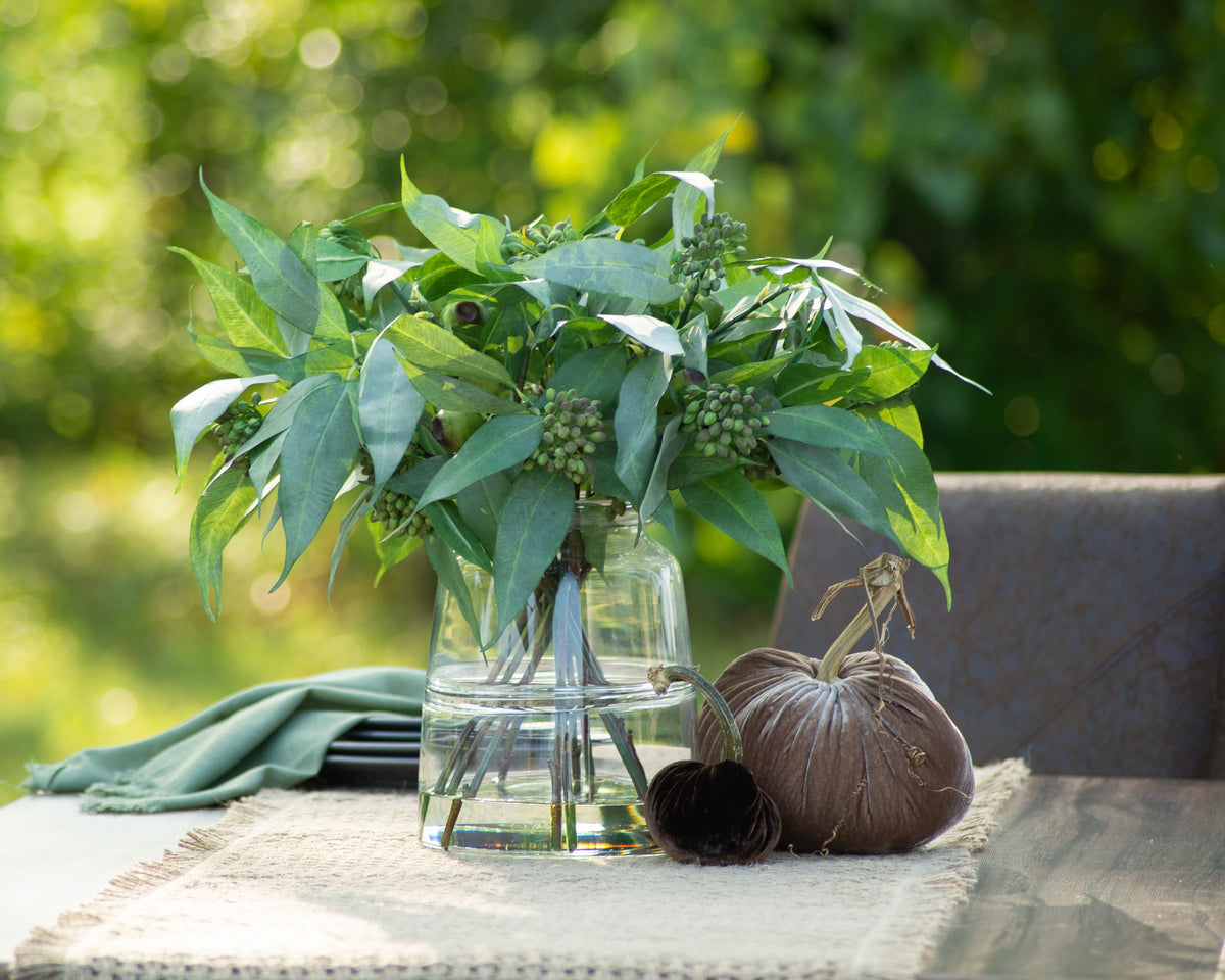 Cluster Seed & Pod Eucalyptus Branch Everyday Arrangement Centerpiece ...