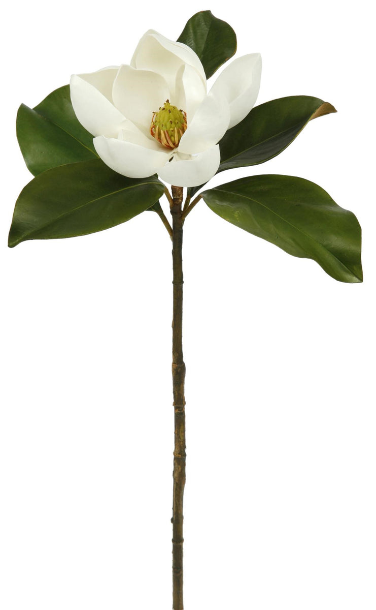 Real Touch Small Magnolia Bloom 24" Single Stem or Bundle of 3 – Darby ...
