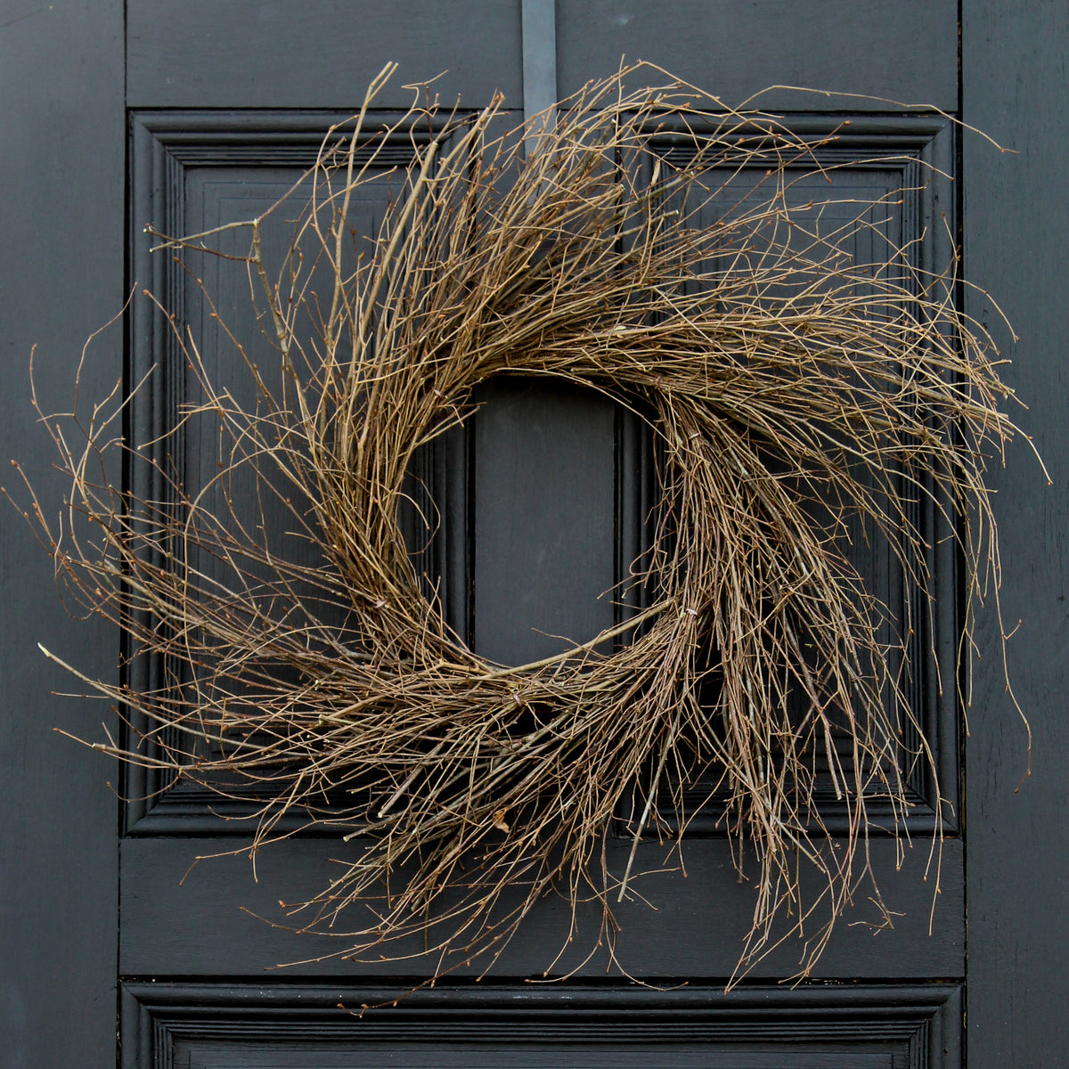 Wispy Natural Birch Twig Everyday Wreath Base – Darby Creek Trading