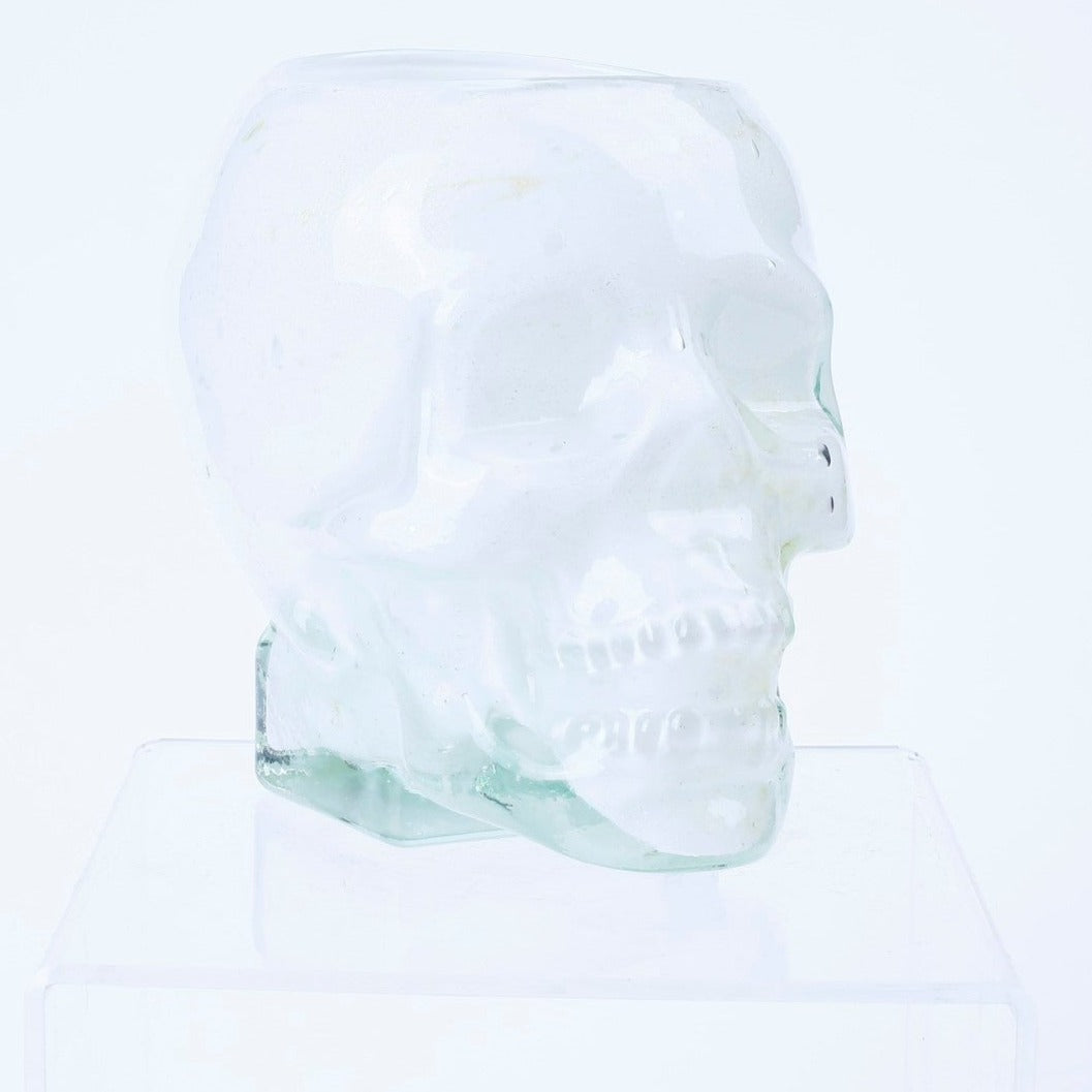 Handblown Glass Gothic Skull Vessel Halloween Tabletop Decor - Availab ...